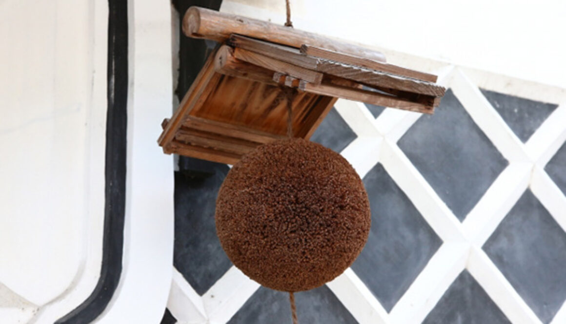 all about rice | Reviendrai